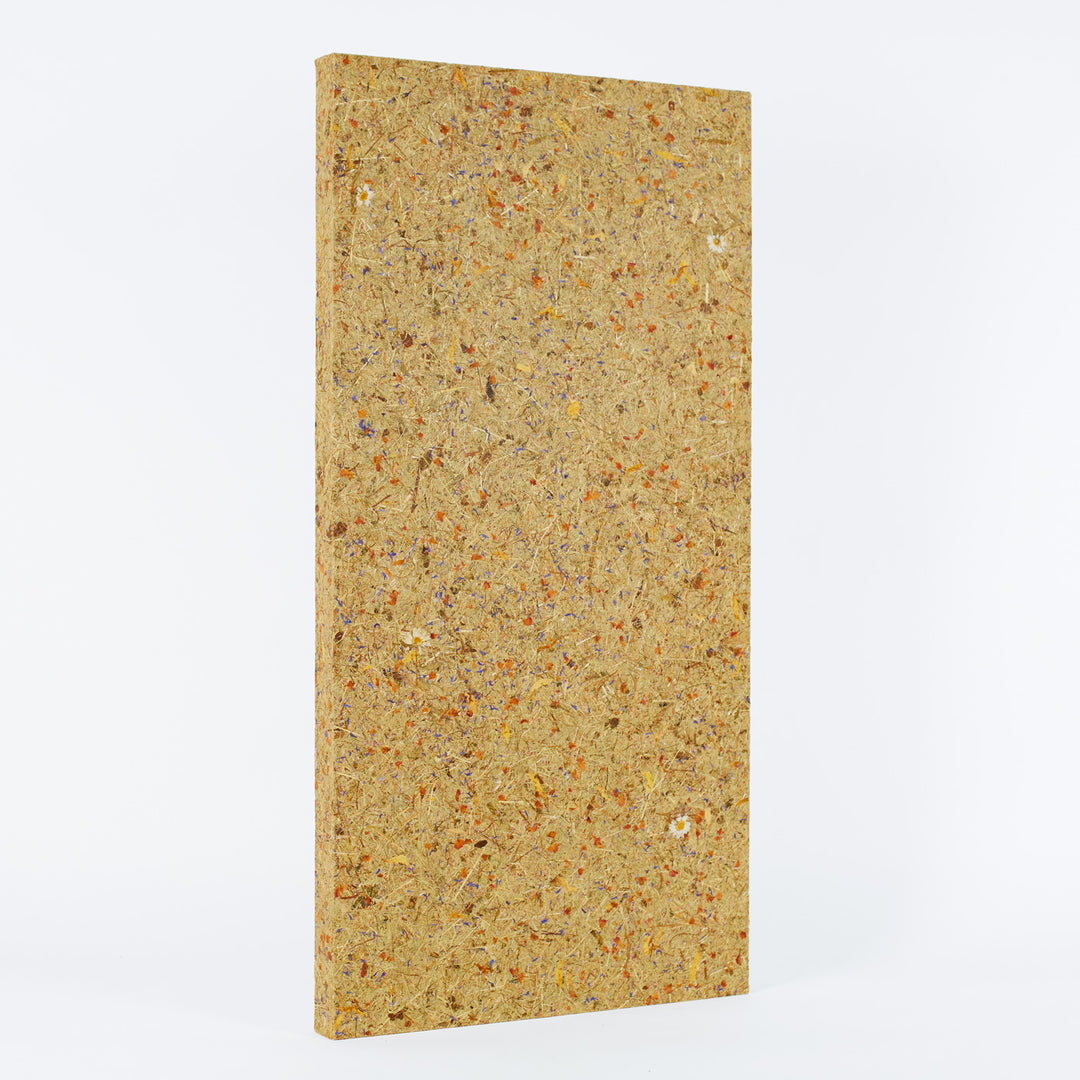 Posters – plankstore